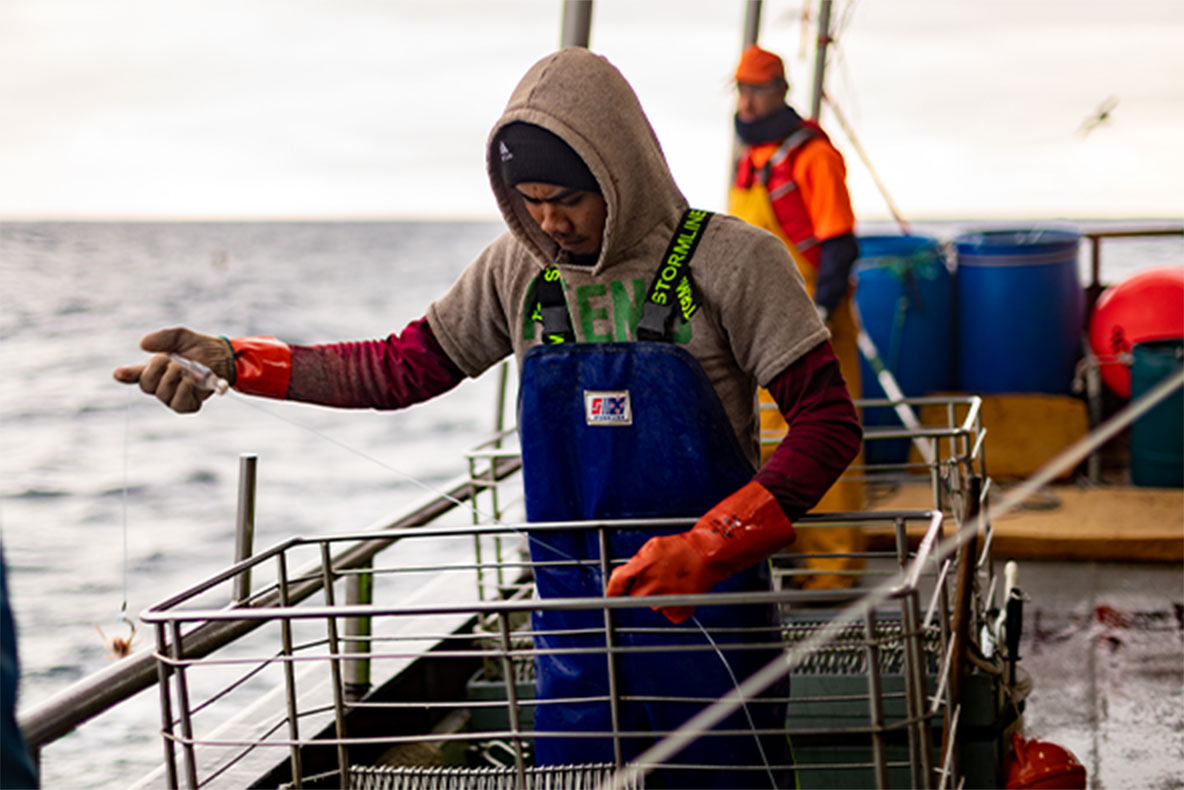 Hookpod - The longline bycatch solution for fishermen